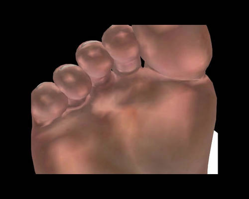 Soldier2000 User Profile | DeviantArt