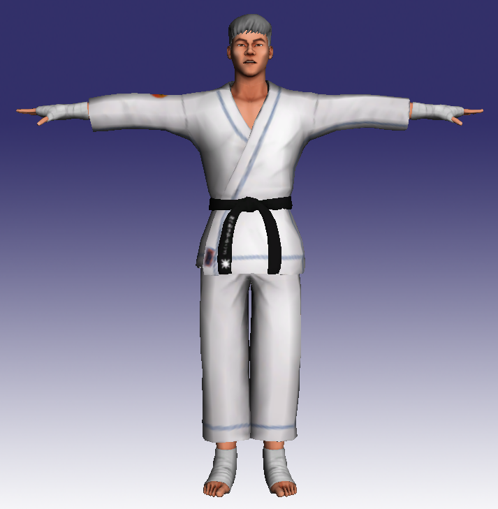 Cobra Kai Video Game - Miyagi-Do Student by NaruHinaFanatic on DeviantArt