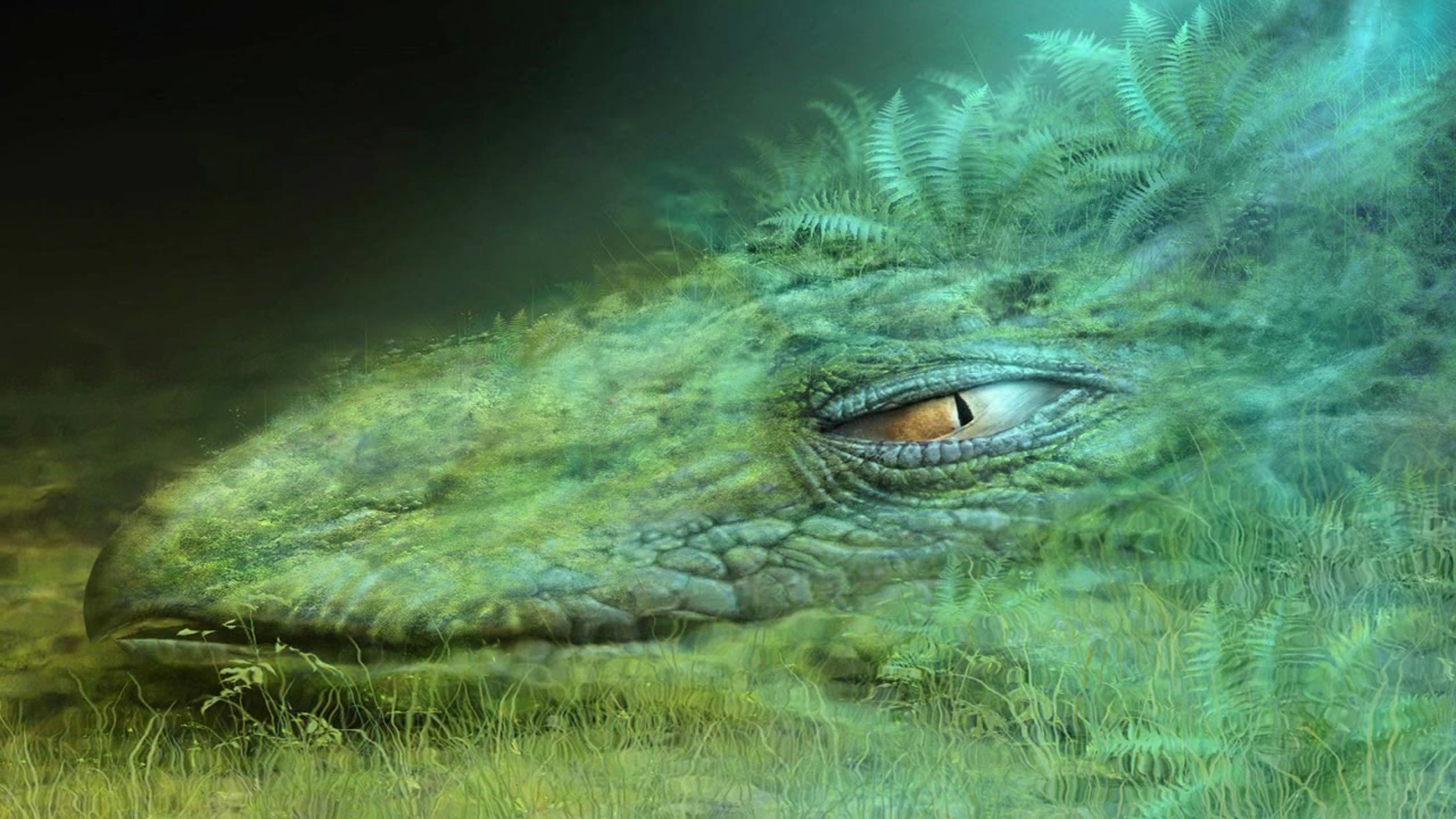 Dreamscene HD wallpaper by koko26 on DeviantArt