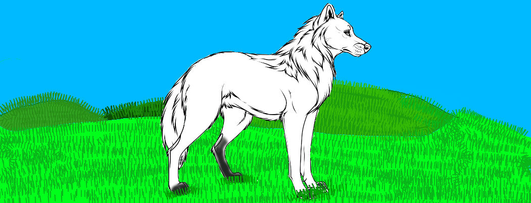 white wolf with grey leg by romeo41 on DeviantArt