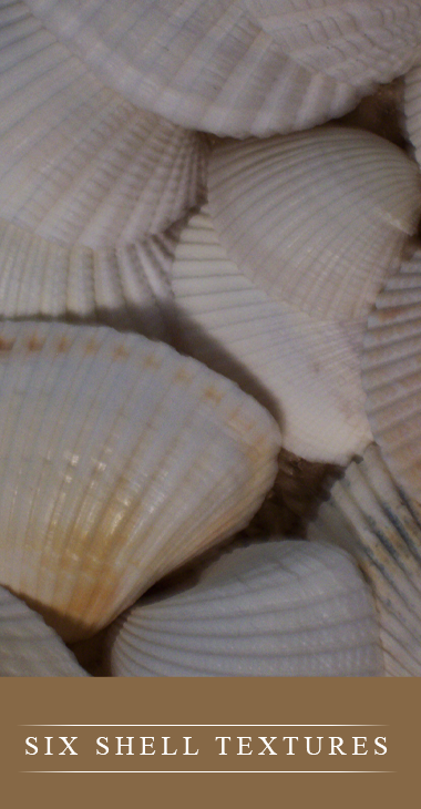 Shell textures by StockMeDev on DeviantArt
