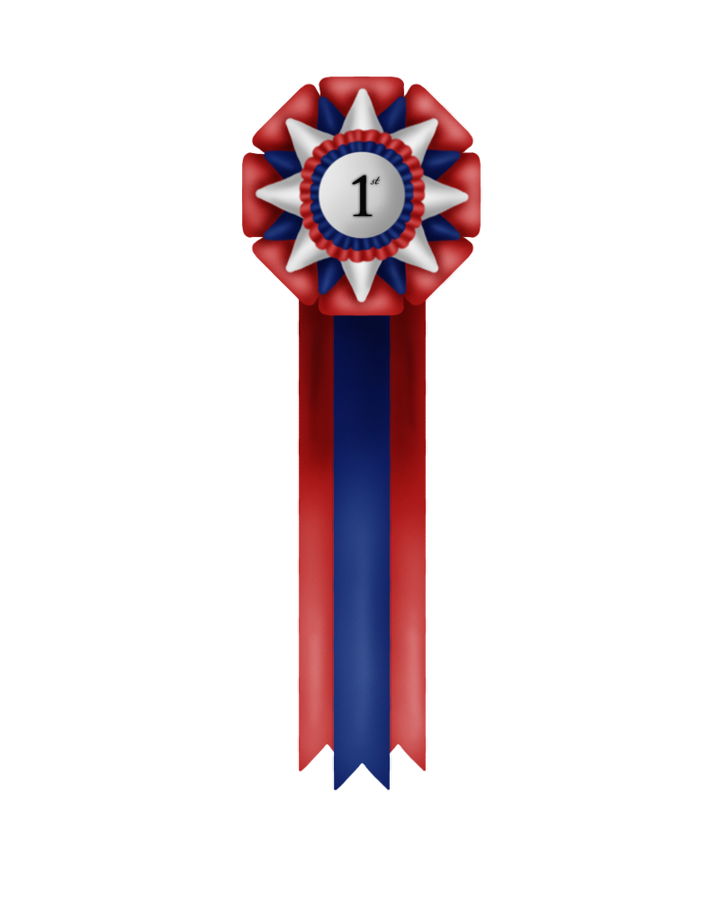 1st Place Ribbon by Jube-insidetheforest on DeviantArt