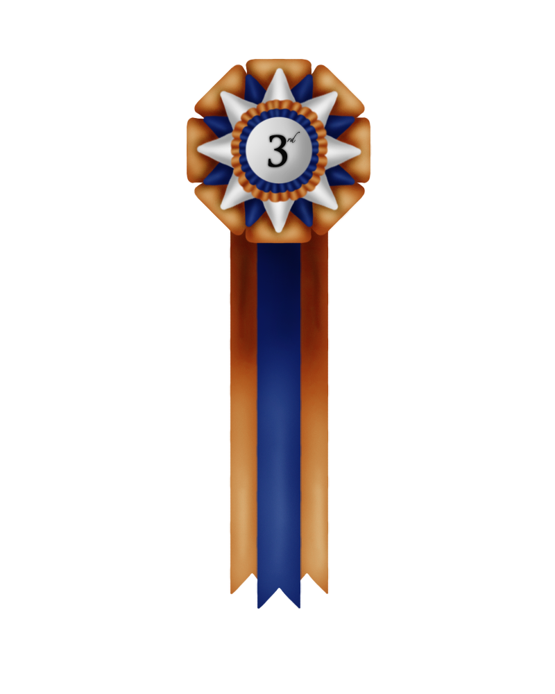 3rd Place Ribbon by Jube-insidetheforest on DeviantArt