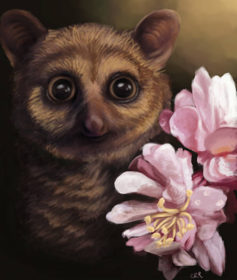 Lemur by EmerlyElm on DeviantArt