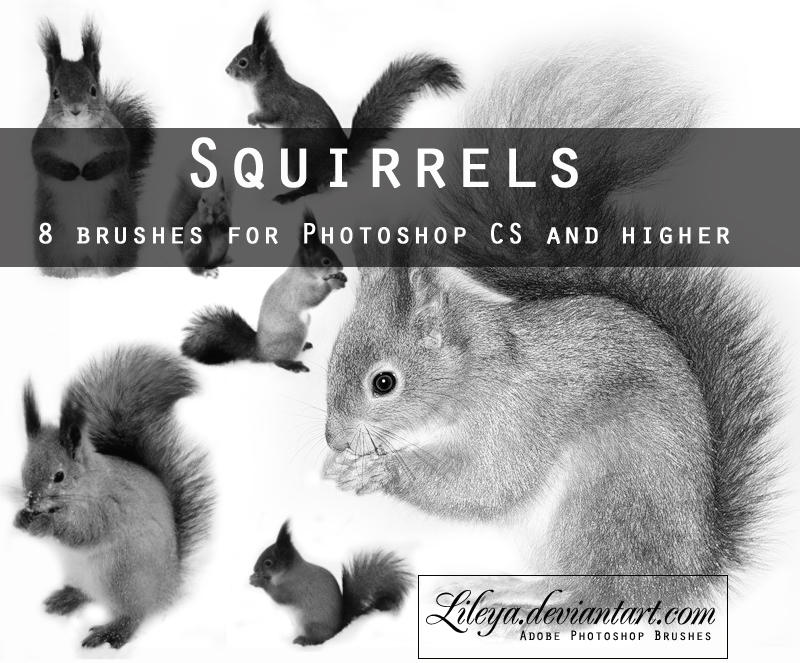Squirrels PS brushes by Lileya on DeviantArt