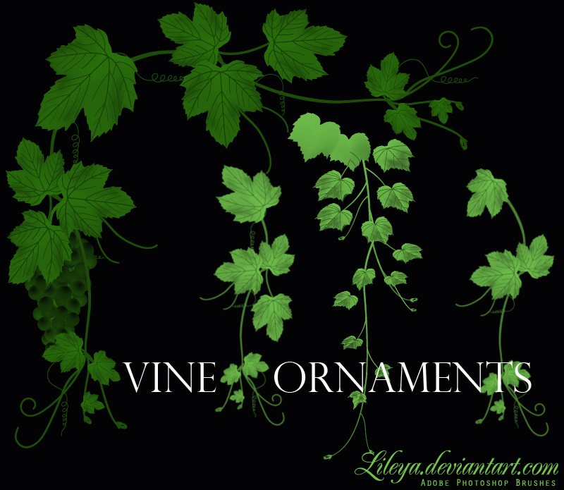 Vine Ornaments by Lileya on DeviantArt