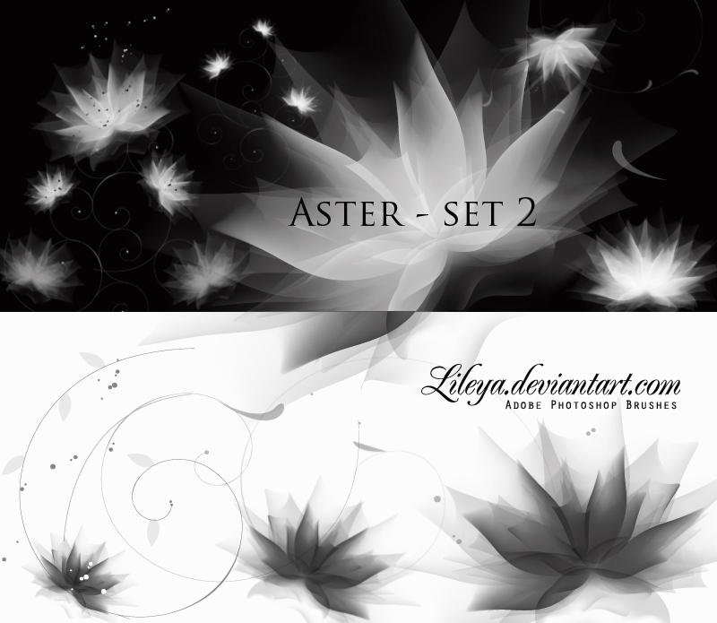 Aster set 2 by Lileya on DeviantArt