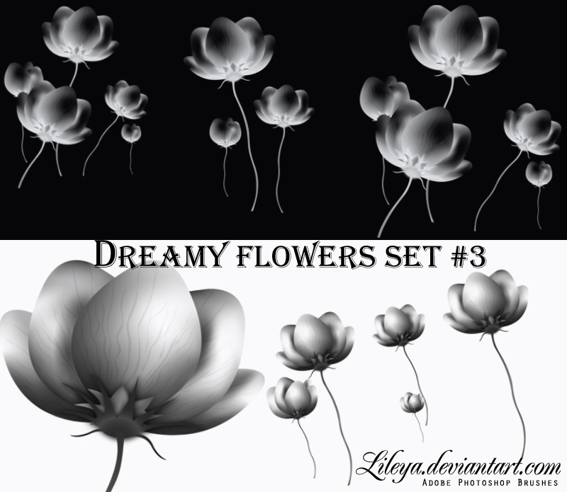 Dreamy Flowers set 3 by Lileya on DeviantArt