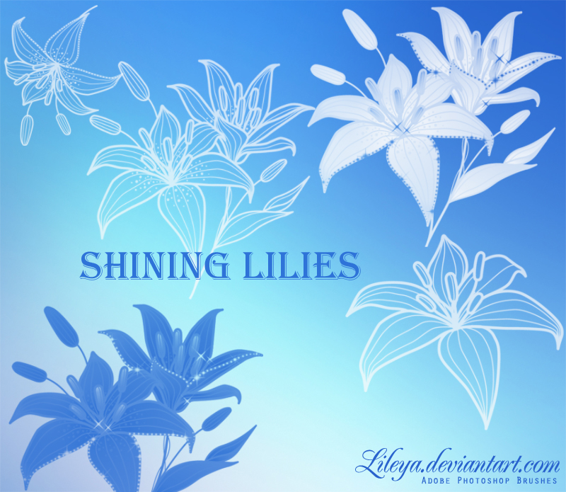 Shining Lilies by Lileya on DeviantArt