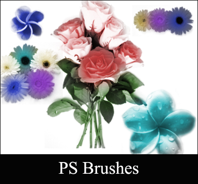 Floral Photoshop Brushes by Lileya on DeviantArt