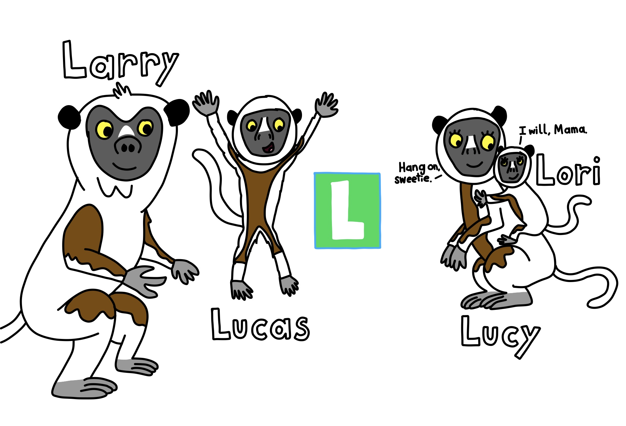 Lemur Family by ThomasCarr0806 on DeviantArt
