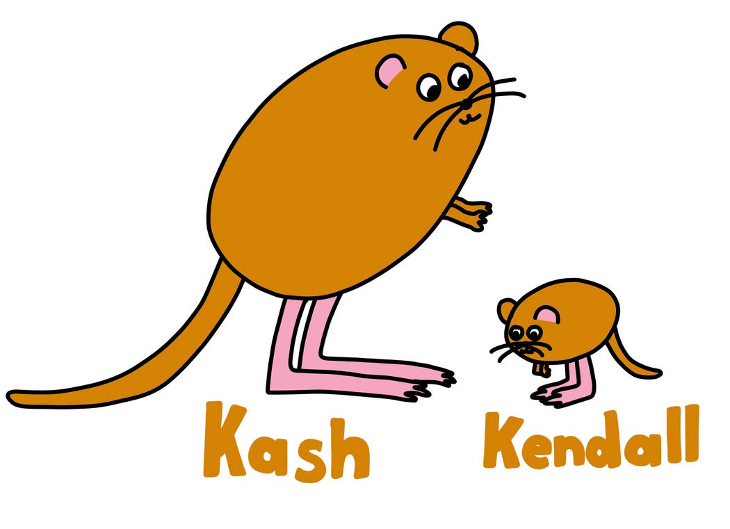 Kash and Kendall Kangaroo Rat by ThomasCarr0806 on DeviantArt