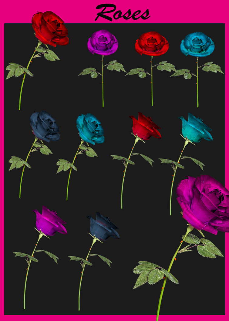 Roses by SuicideOmen on DeviantArt