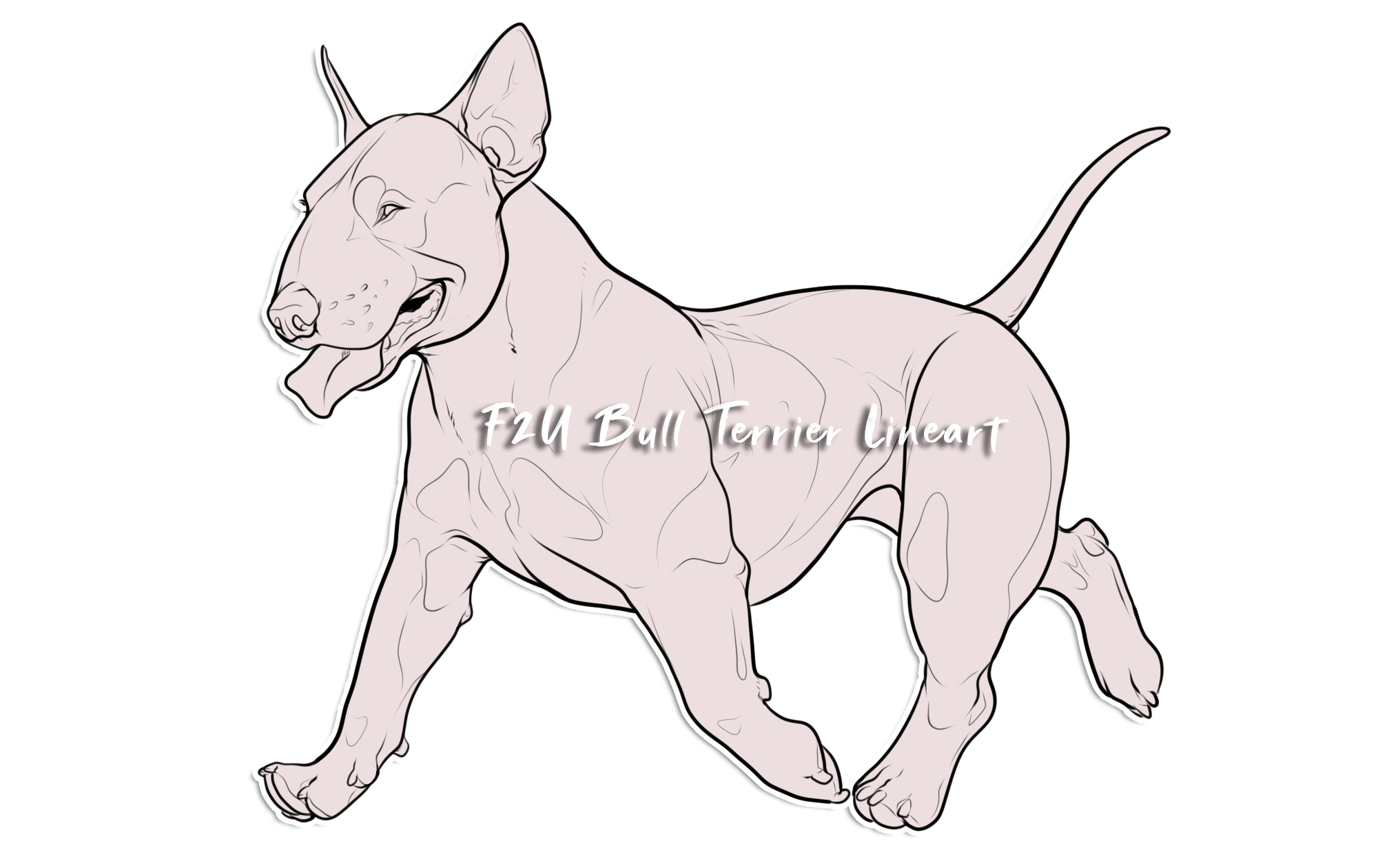 F2U Bull Terrier Lineart by SOUTH-SIDE-ESTATES on DeviantArt