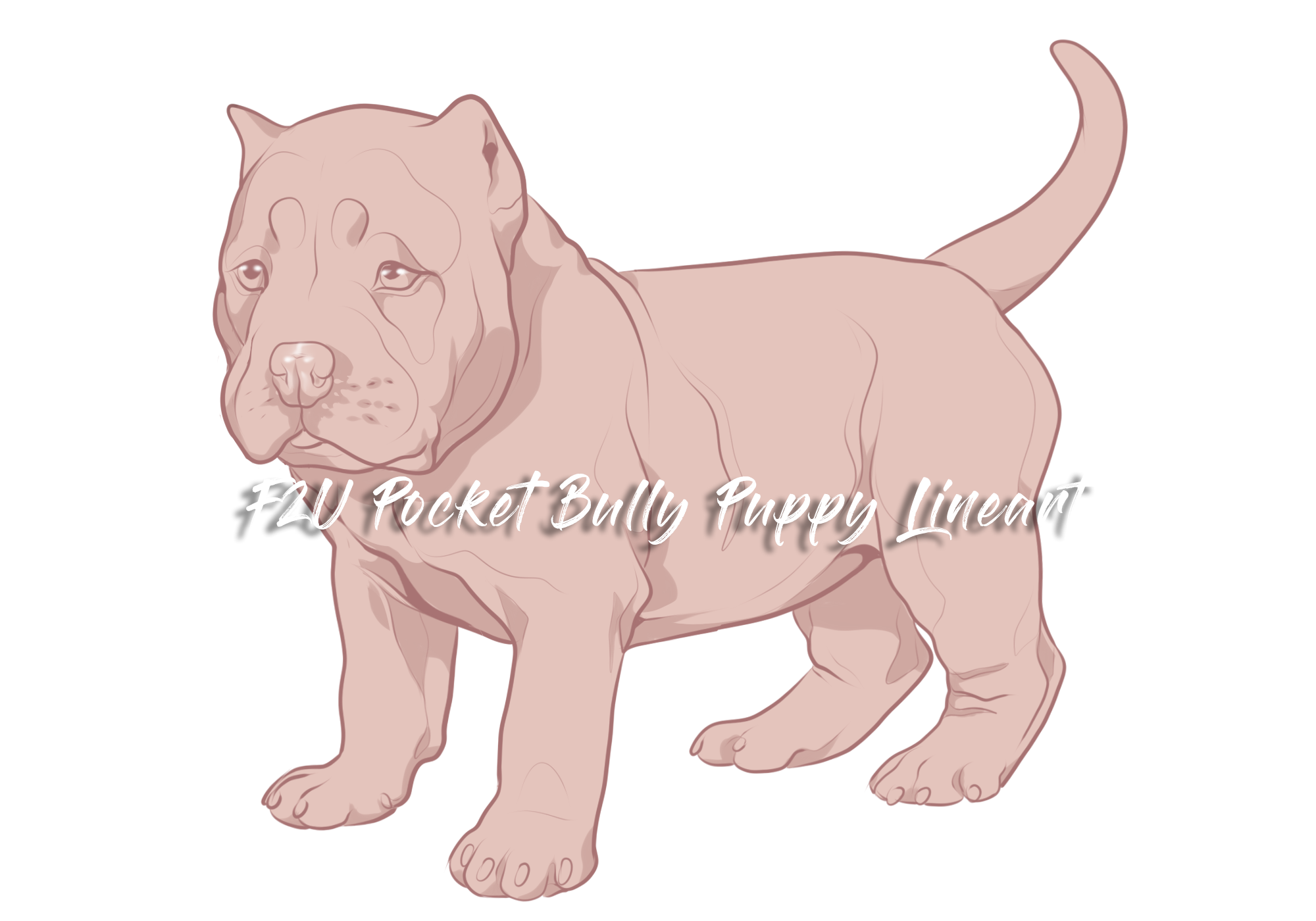 F2U Pocket Bully Puppy Lineart by SOUTH-SIDE-ESTATES on DeviantArt
