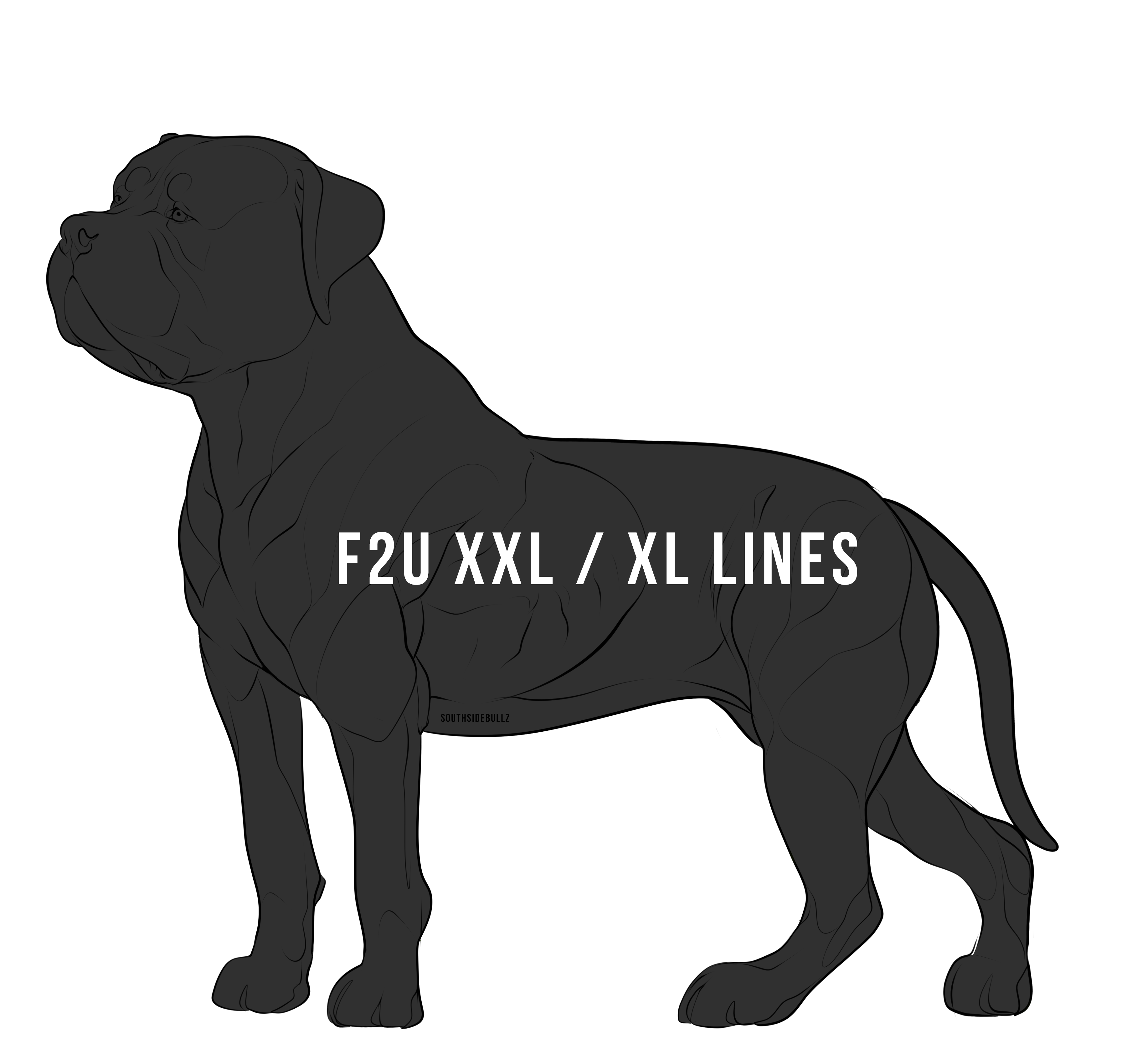 F2U XXL | XL Bully Lineart by SOUTH-SIDE-ESTATES on DeviantArt