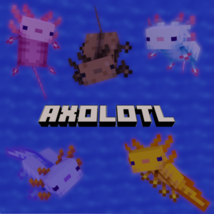 Minecraft - Axolotl Rigged Model by RadicalCharizard on DeviantArt