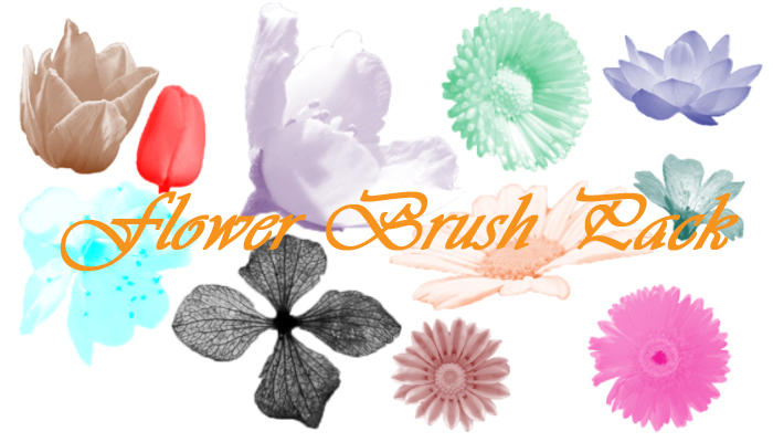 Flower Brush Pack~ Photoshop by cryas on DeviantArt