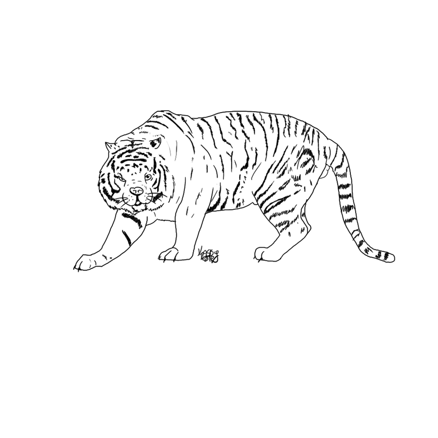 Deformed tiger lineart by RainUndead on DeviantArt
