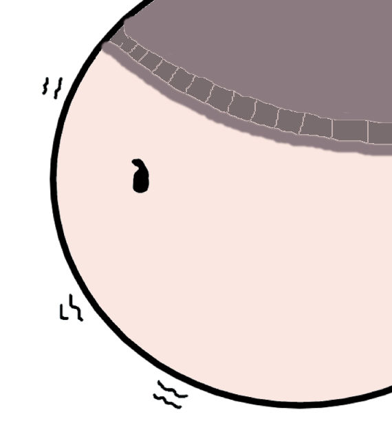 Ember's belly by ChuubsTheHedgehog on DeviantArt