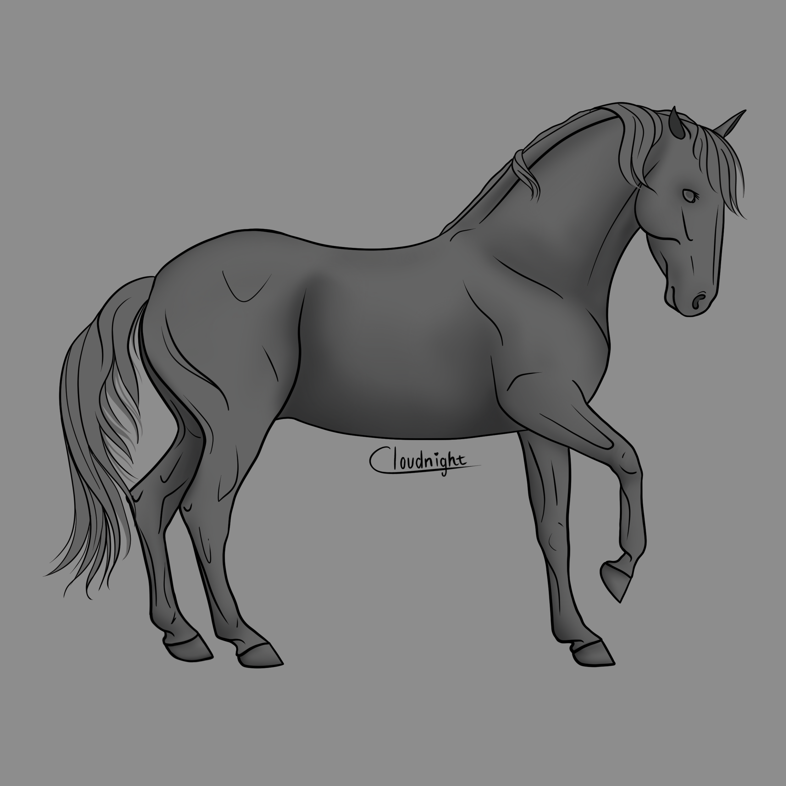 F2U Grayscale Horse Base by CloudnightArt on DeviantArt