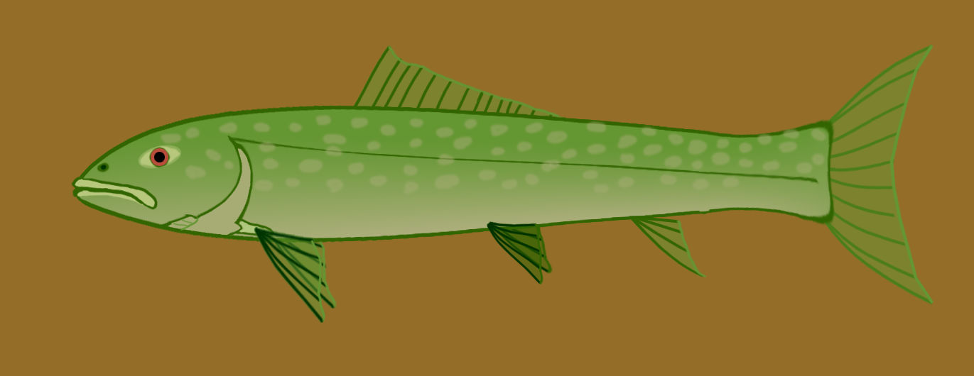 Fred the Fish by Imperator-Zor on DeviantArt