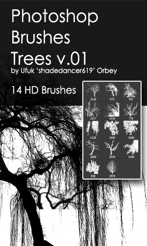 Shades Trees v.01 HD Photoshop Brushes by shadedancer619 on DeviantArt