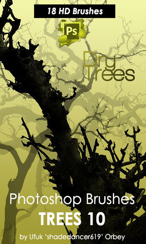 Dry Trees Photoshop Brushes by shadedancer619 on DeviantArt