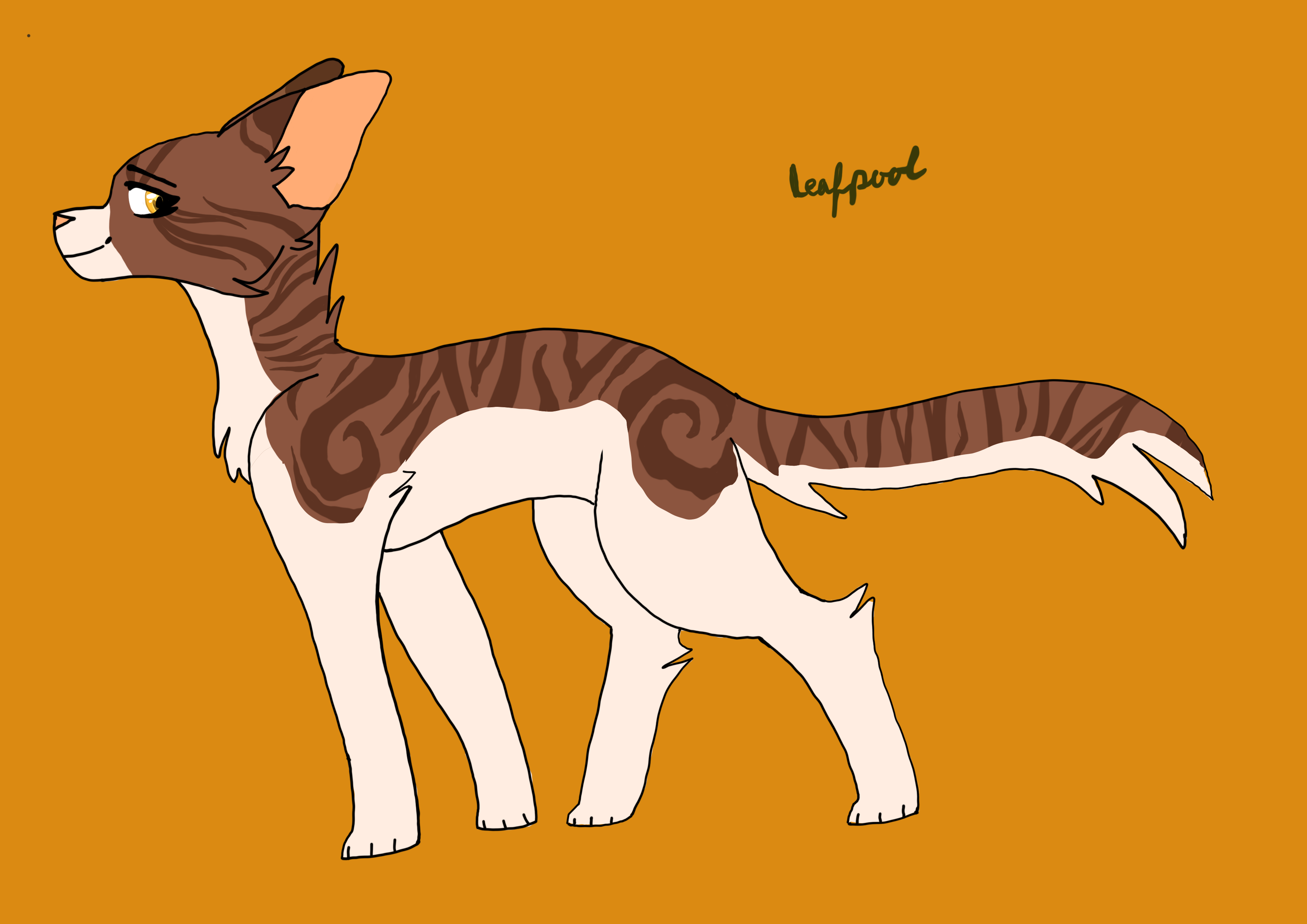 Warriors designs: Leafpool by MoonHunterOwO on DeviantArt