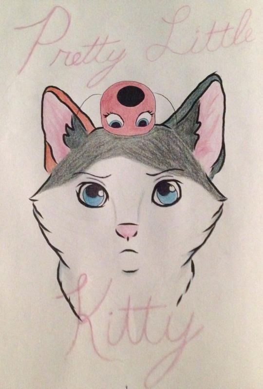 Pretty Little Kitty - Intro by ReflectTheLight on DeviantArt
