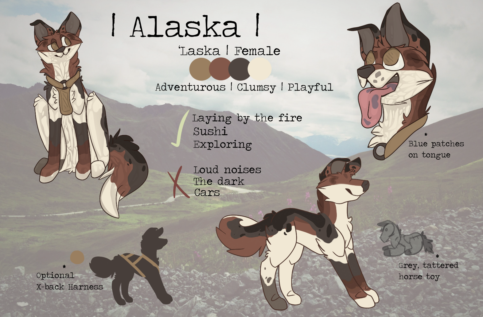 Alaska Reference Sheet by Alaskancanine on DeviantArt