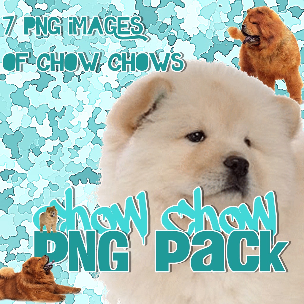 Chow Chow PNG Pack by Jecca-edits on DeviantArt