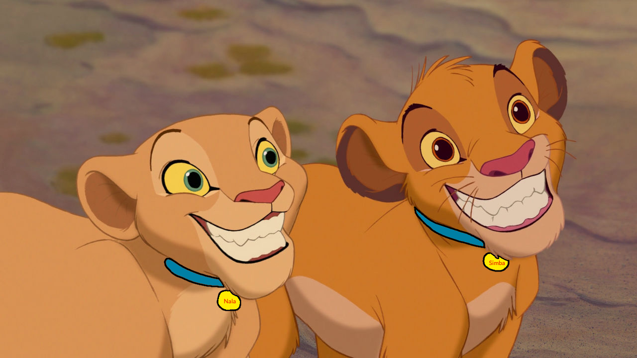 The Lion King Simba And Nala Young