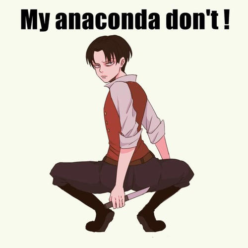 Opposite attraction (Levi x Reader) AU modern PT.3 by Rukia2011 on ...