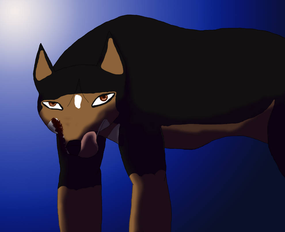 Ginga OC: Shiro by Nameless307 on DeviantArt