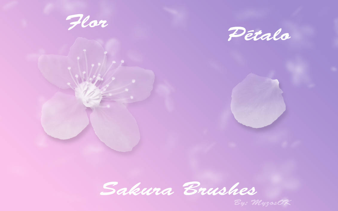 Sakura Brushes - by MyzosOK on DeviantArt