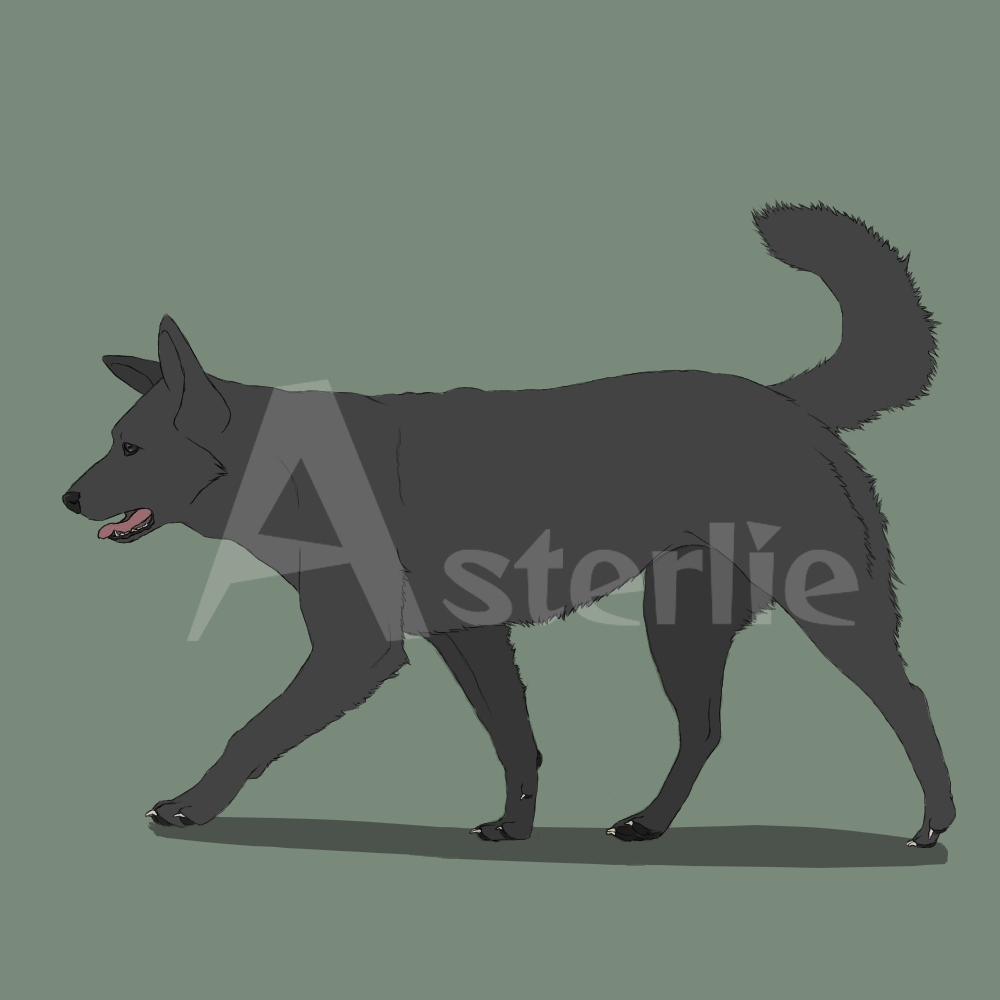 German Shepherd Base (F2U) by AsterlieTimo on DeviantArt