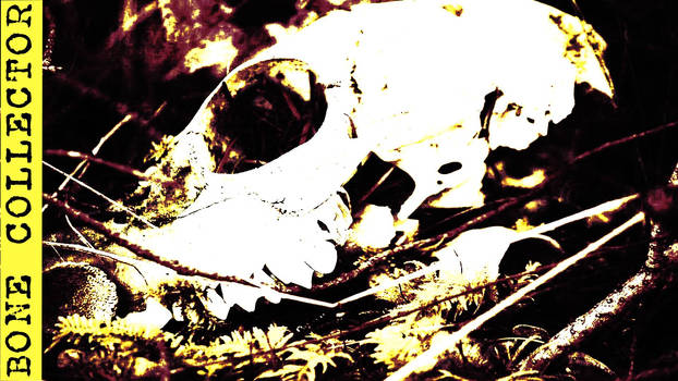 cleoptera - Hobbyist, Artist | DeviantArt