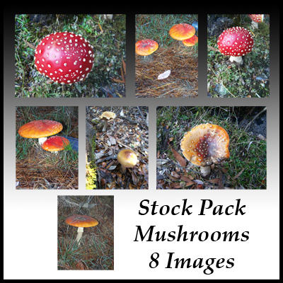 Stock Pack - Mush-Shrooms by Gracies-Stock on DeviantArt