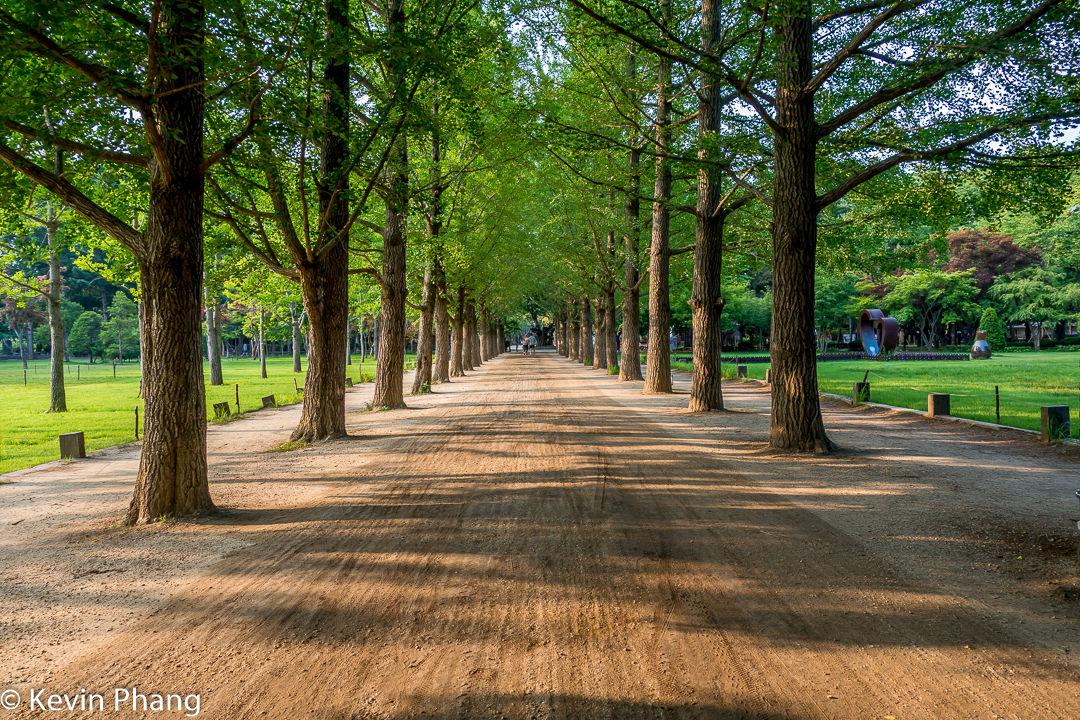 Nami Island by B0SS91 on DeviantArt
