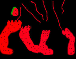 Free Female Lupus Watermellon Tattoo: Ovipets by 1XxKittehxX1 on DeviantArt