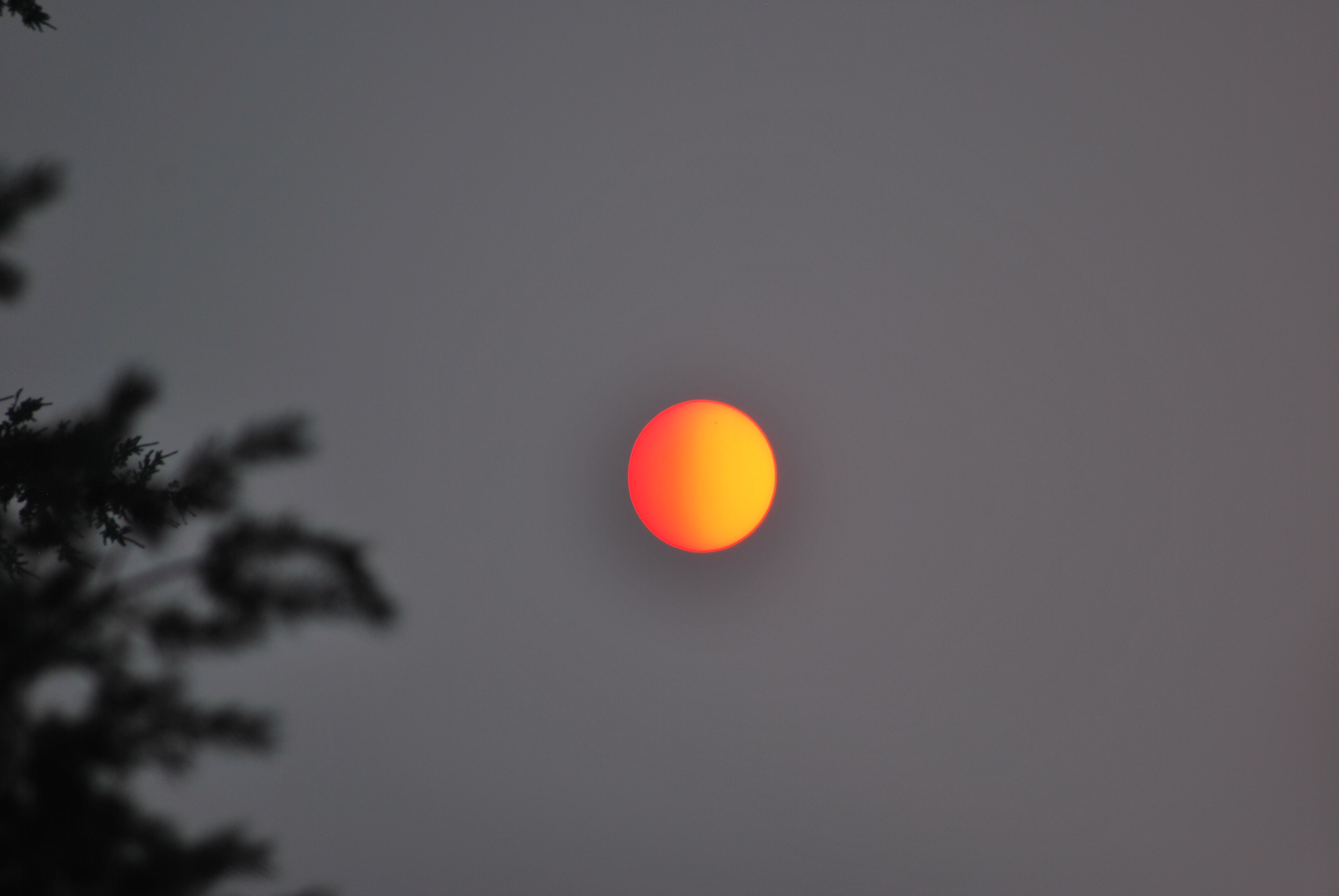 Hazy Sun 1 of 3 by DArte31 on DeviantArt