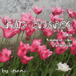 12 tulip brushes for gimp by ltiana355 on DeviantArt