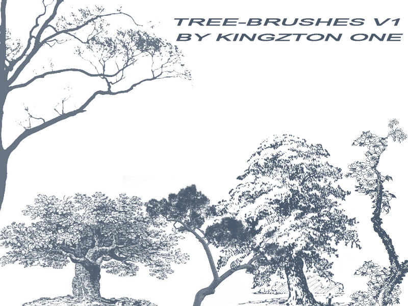 Tree-Brushes V.1 by King-Billy on DeviantArt