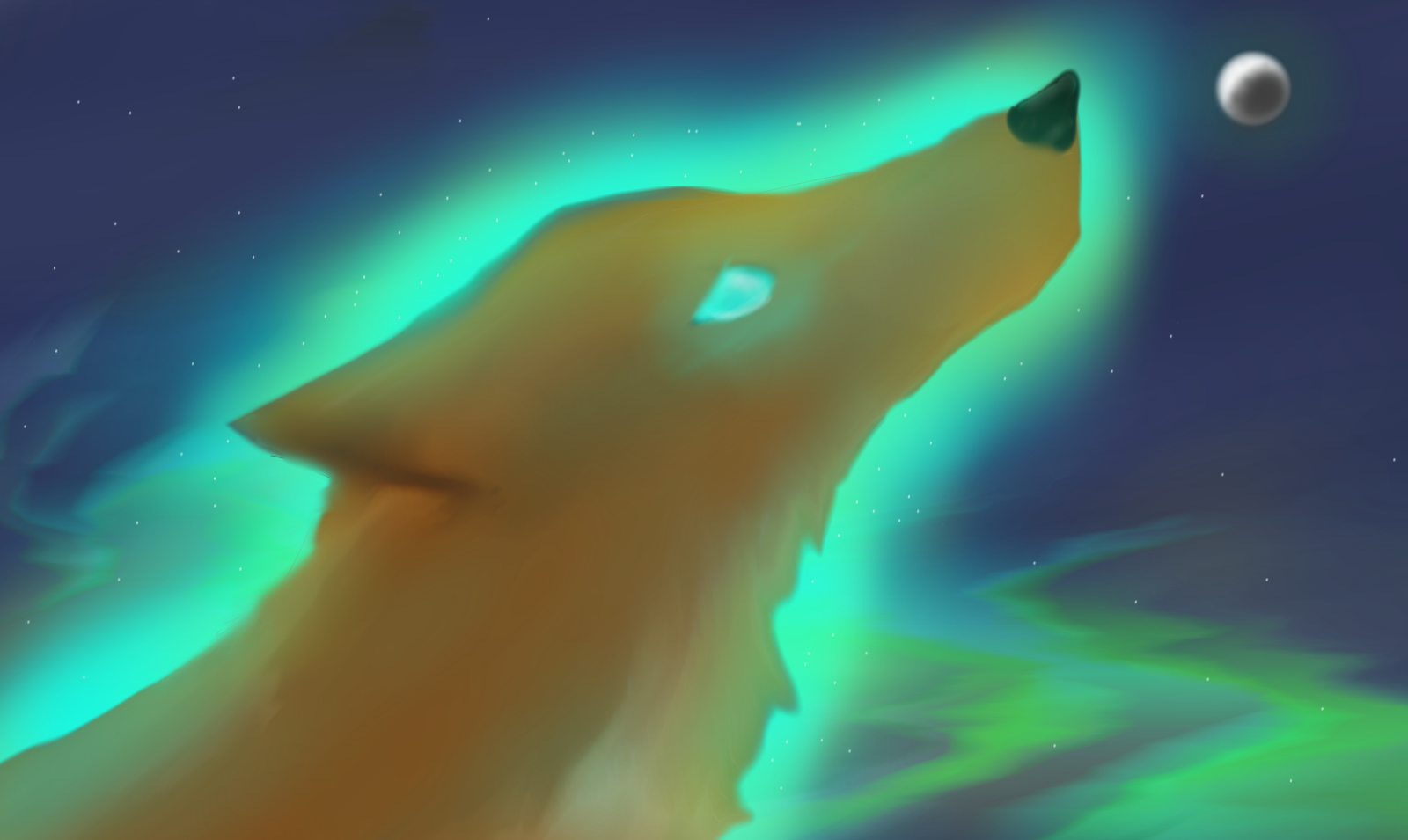 WandS pixie fox by poopyfart121 on DeviantArt