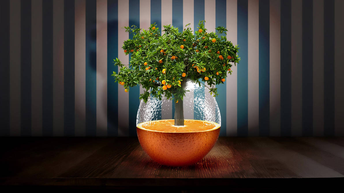 The orange tree dream by DianeSigalas on DeviantArt