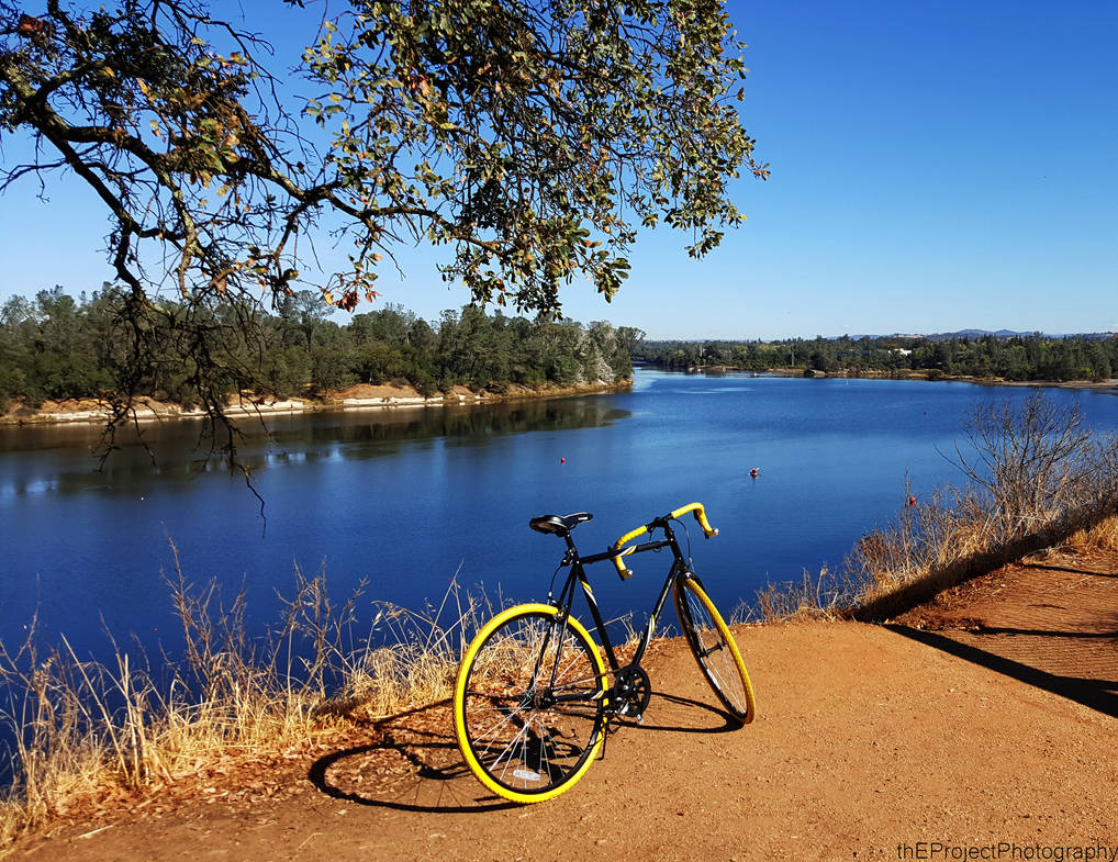 Biking along Lake Natoma by THe916pROJECT on DeviantArt