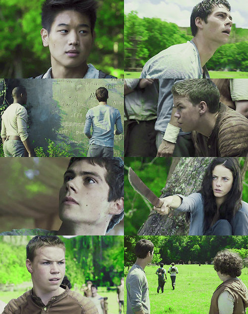 The Maze Runner PSD by analiviamattos on DeviantArt