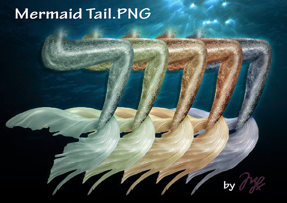 Mermaid Tail PNG by ArtML30 on DeviantArt