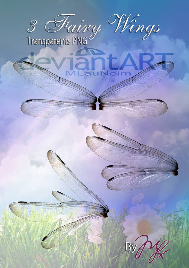 Wings PSD by ArtML30 on DeviantArt